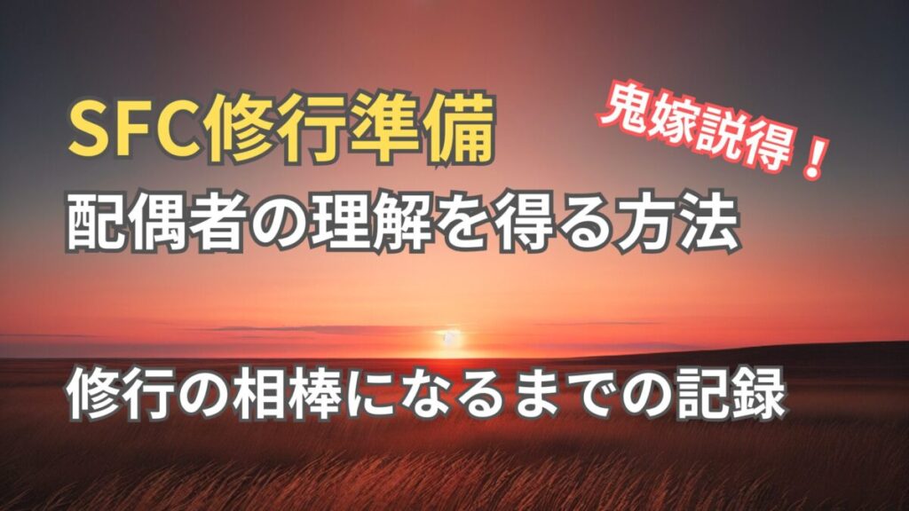 25 SFC修行】ANAプラチナカードに切替え準備。投資対効果は？ | 小さな旅の積み重ね｜SFC修行とお得な旅ノート